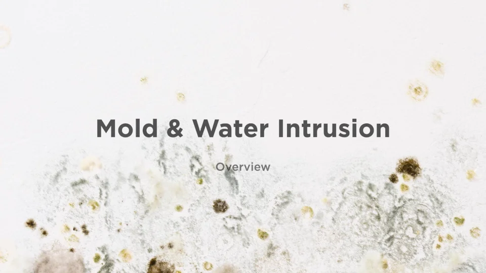 Mold Introduction