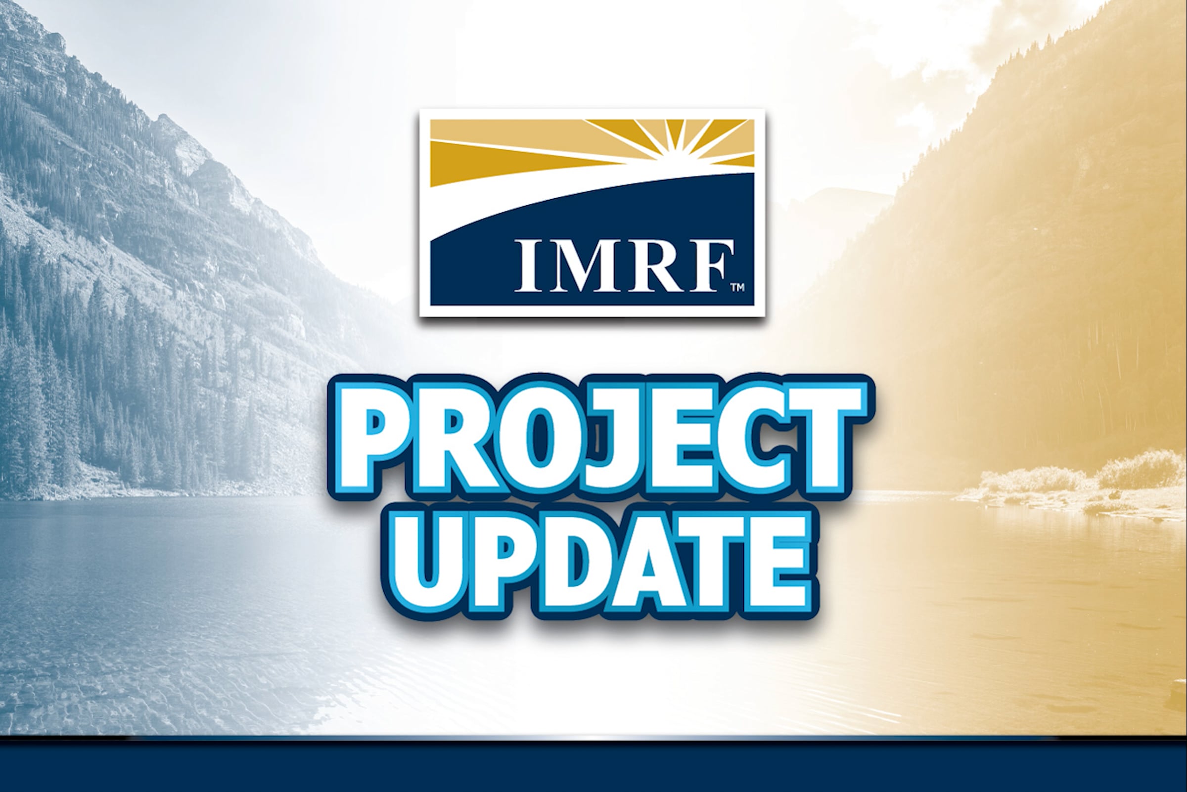 Project Update January 2025