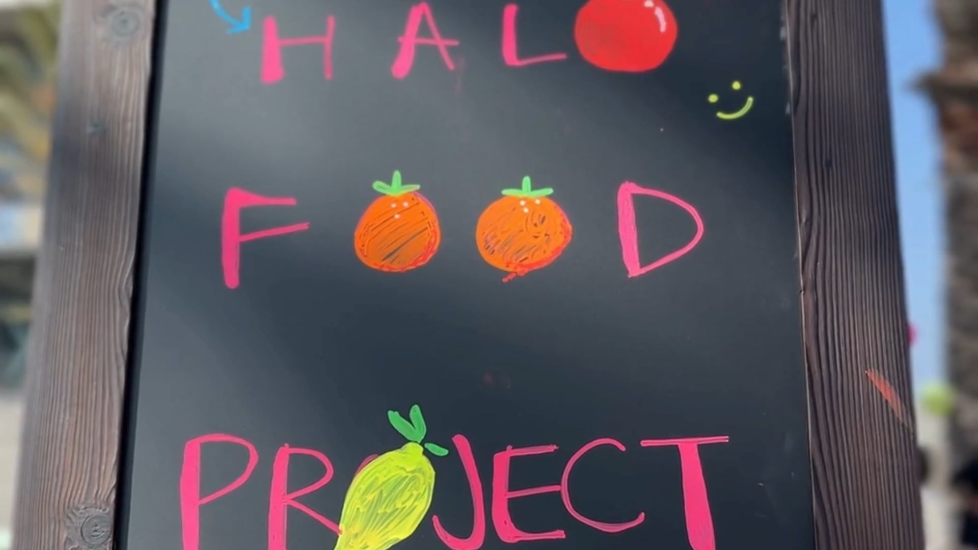 The Halo Food Project - Organic Fresh Foods, Vegan Products