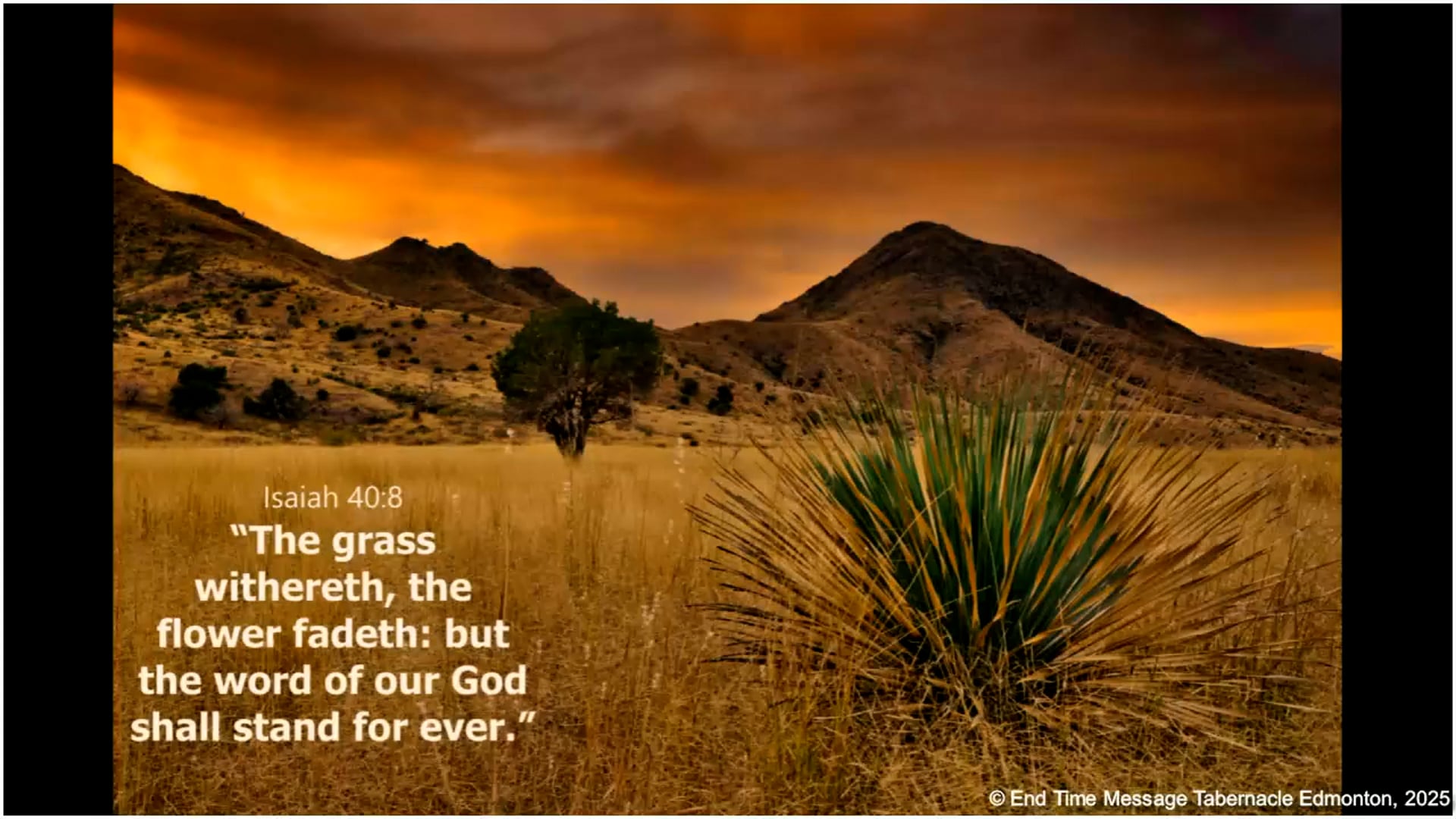 STREAMING AND ARCHIVES | ETM Tabernacle