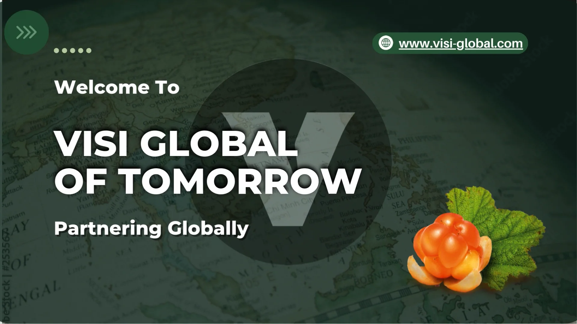 VISI GLOBAL Investment Package