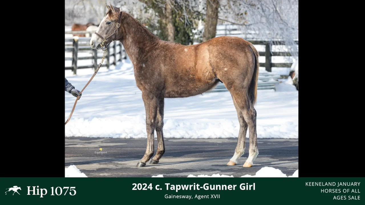 Hip 1075 Kee Jan Gunner Girl '24