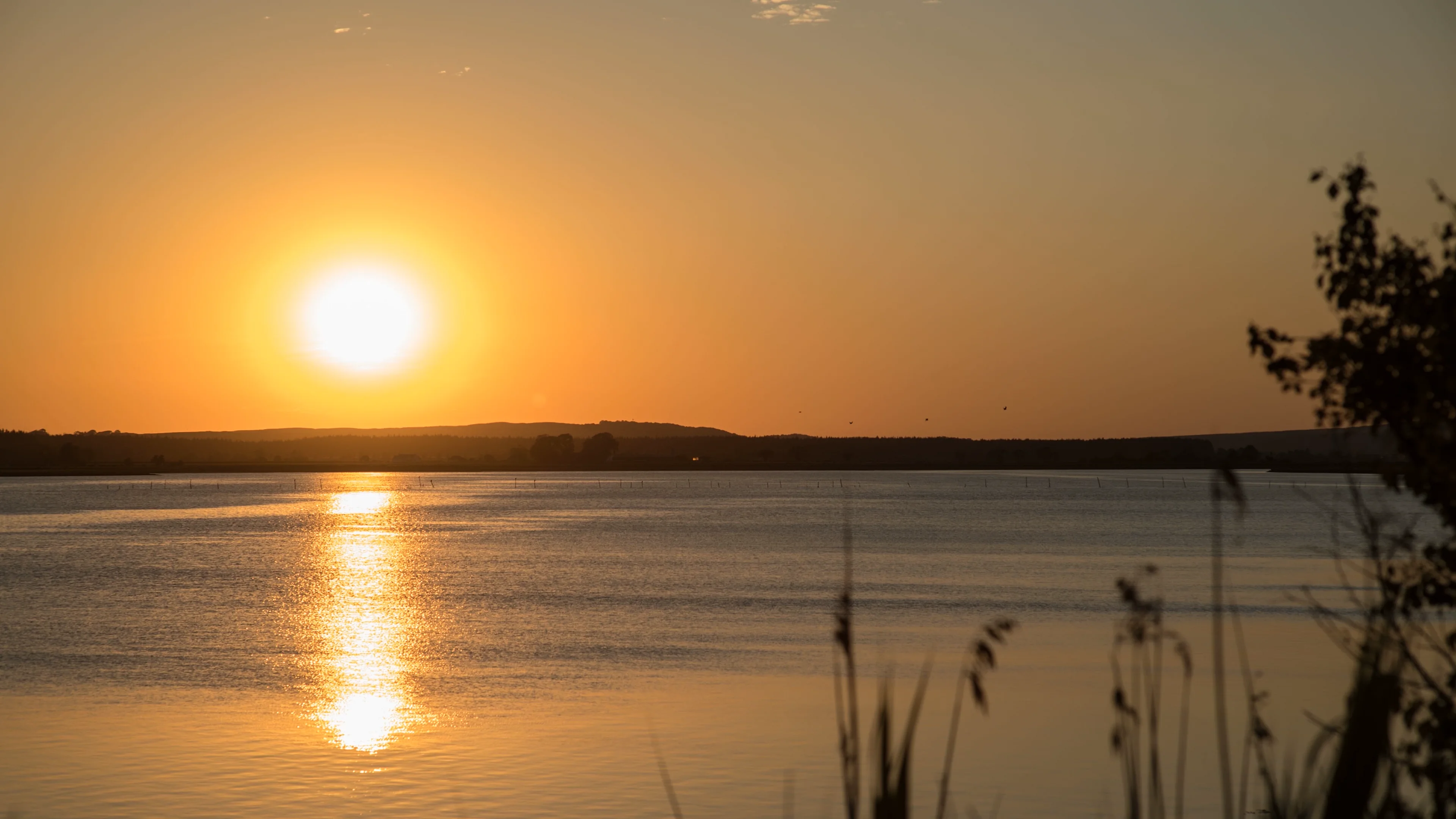 Cree Estuary tight sunset June 23
