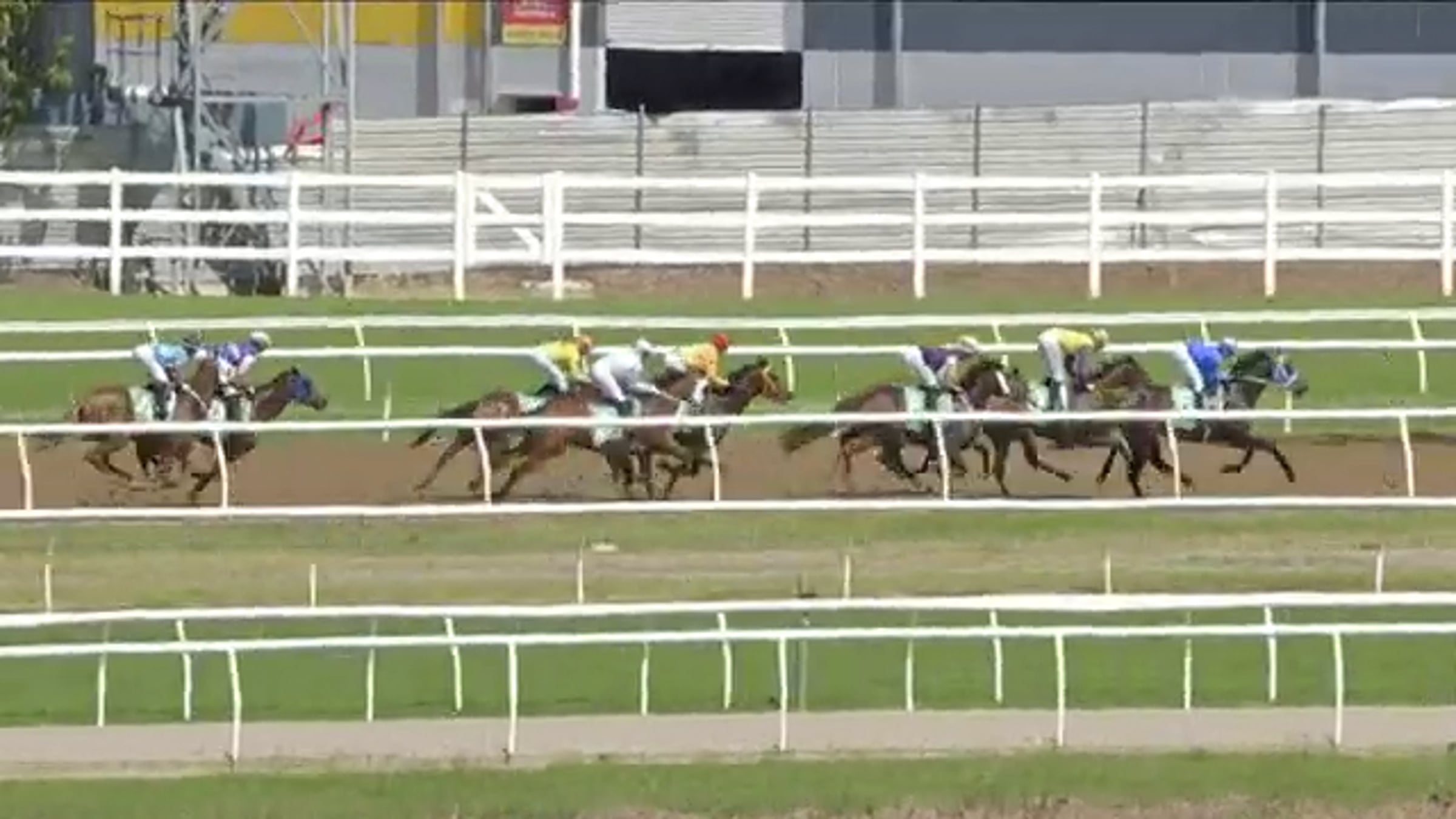 Thoroughbred TRADEPEX- QUICK AS LIGHTNING Maiden Plate 2000m Sat 12 Oct ...