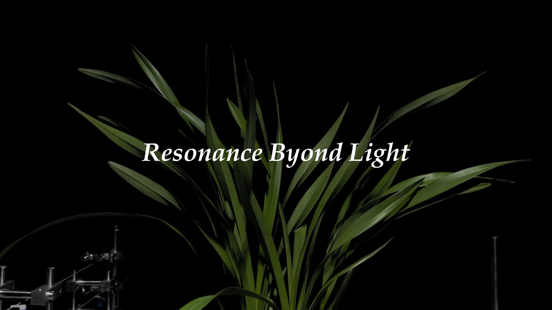 Resonance Beyond Light