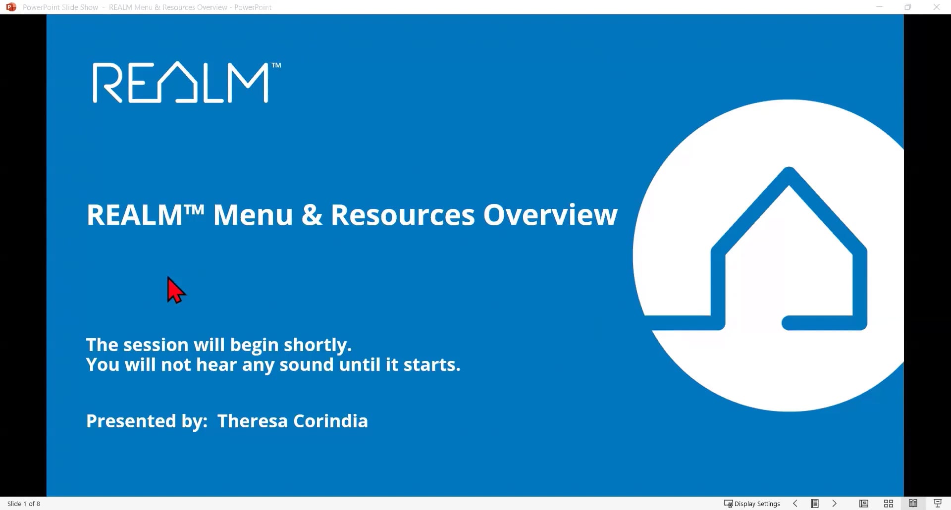 REALM Menu & Resources Overview