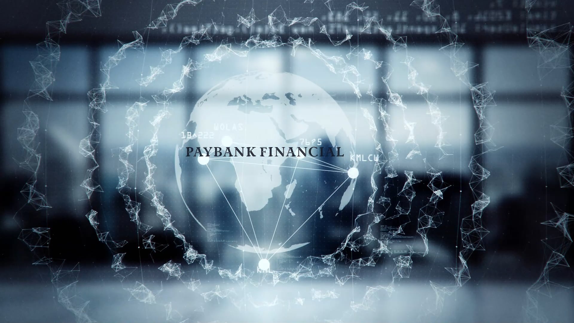 Portfolio | PAYBANK FINANCIAL SERVICES