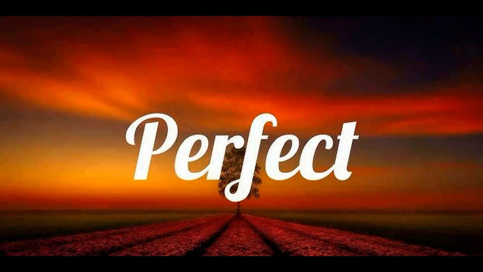 Perfect_0
