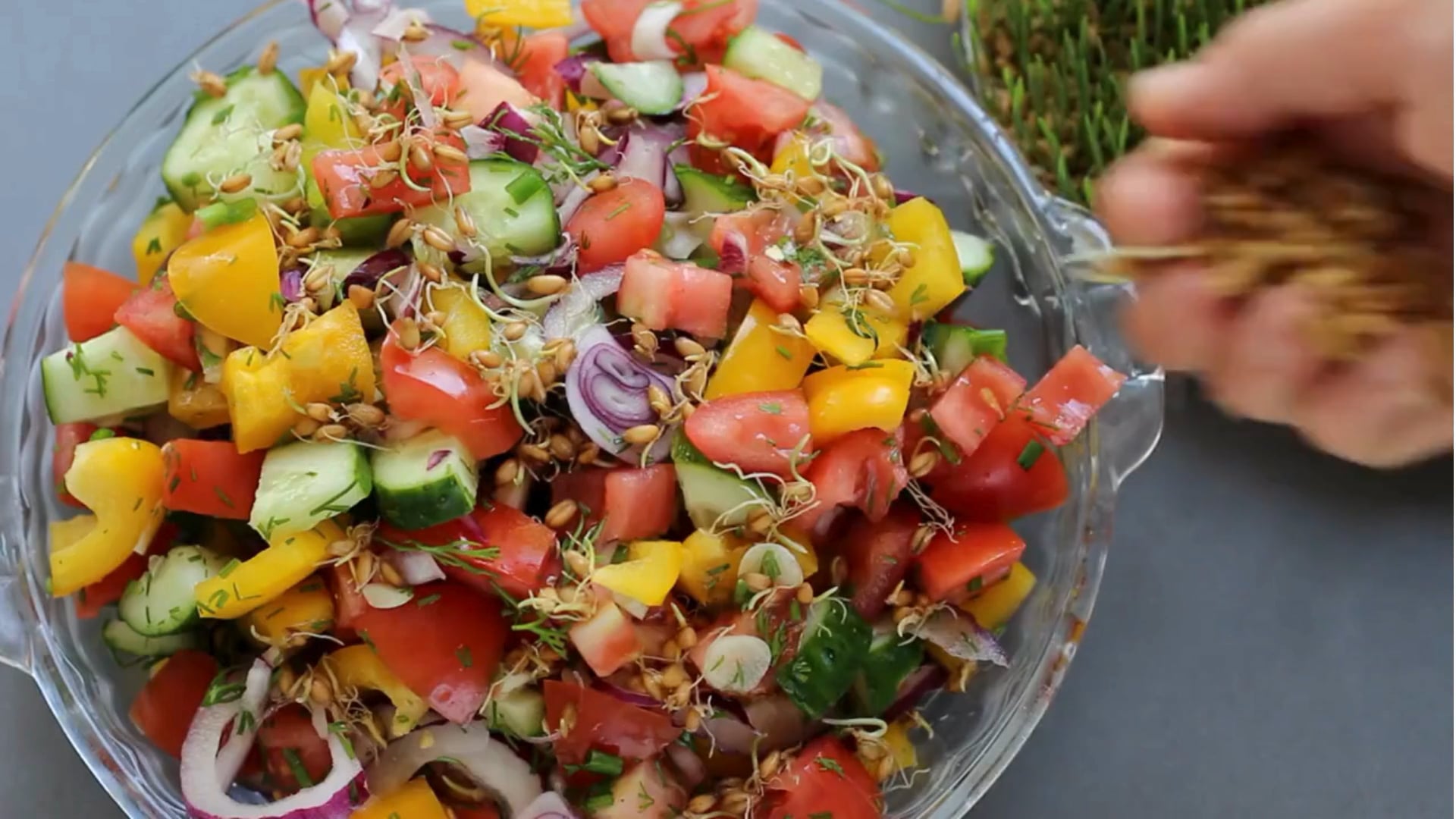 Free Resources | Marina Ferri - Nutrition & Wellness