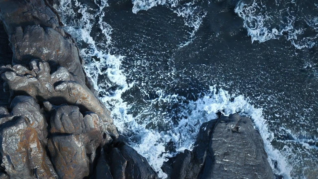 Community Member Spotlight: Amid Rajabi