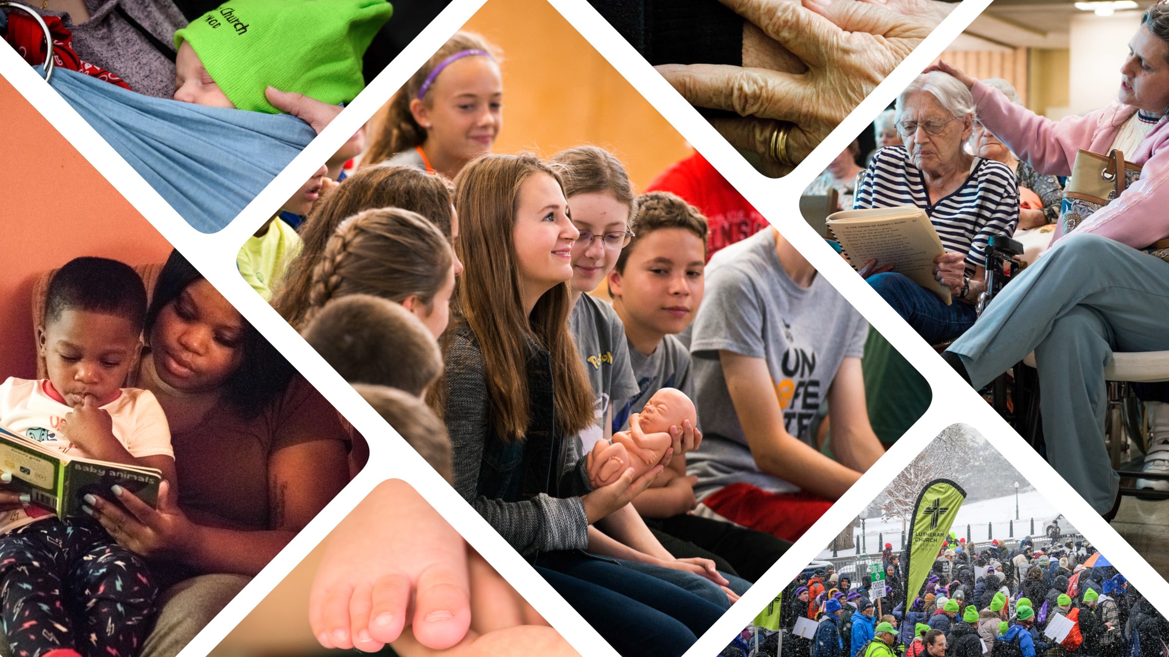 January Life Together Digest with Pres. Harrison