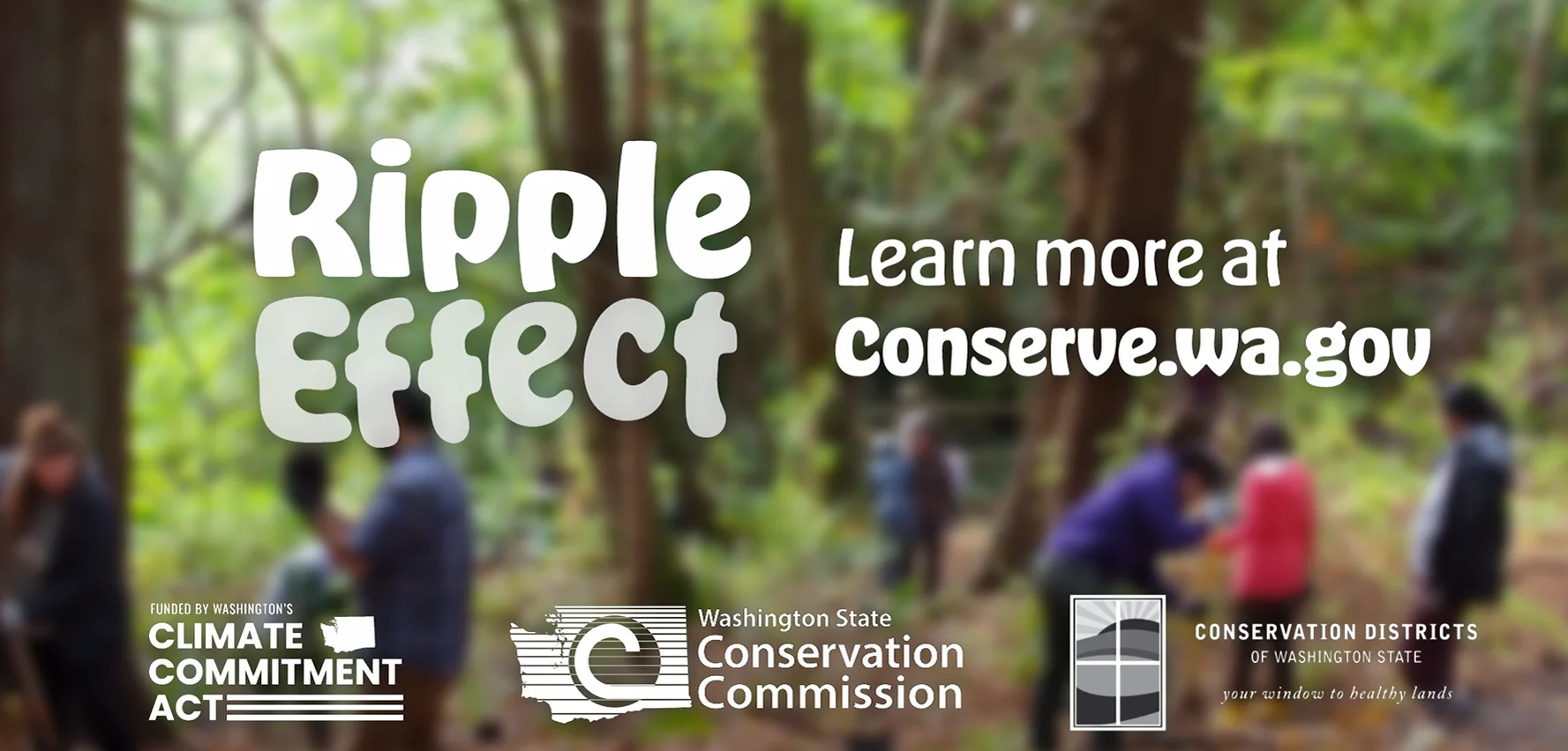 Ripple Effect: Take Action for Washington’s Waterways