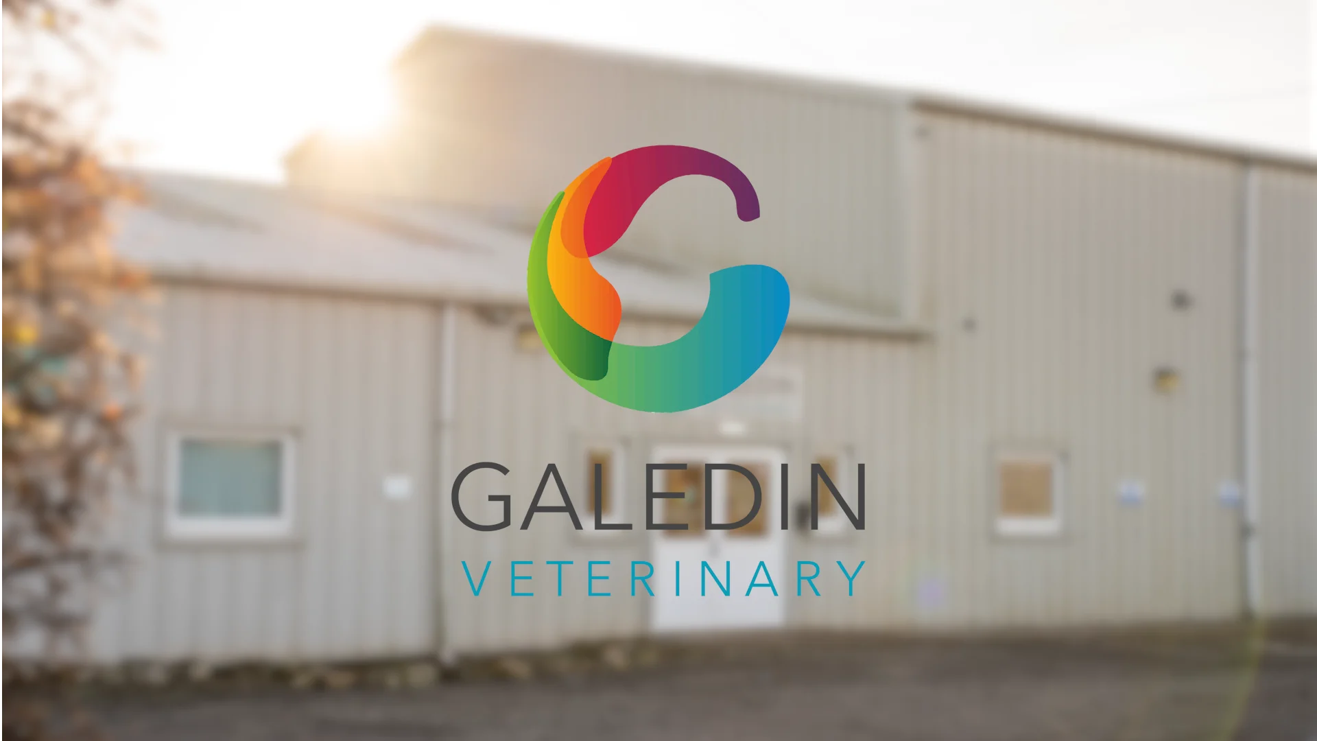 Galedin Veterinary Group - Putton Mill