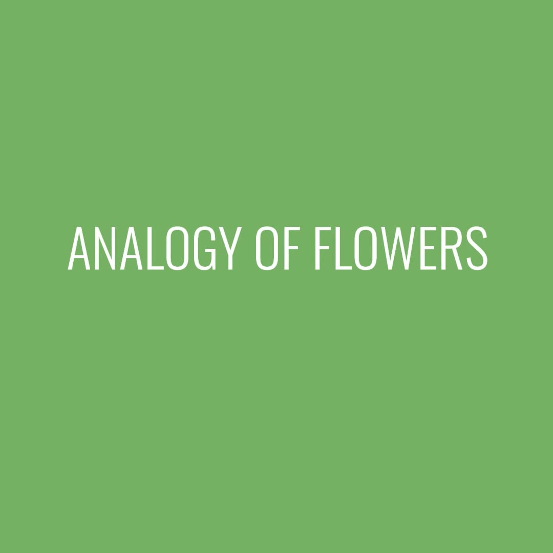 Watch ANALOGY OF FLOWERS Colour & Trend Preview Spring / Summer 2026 ...
