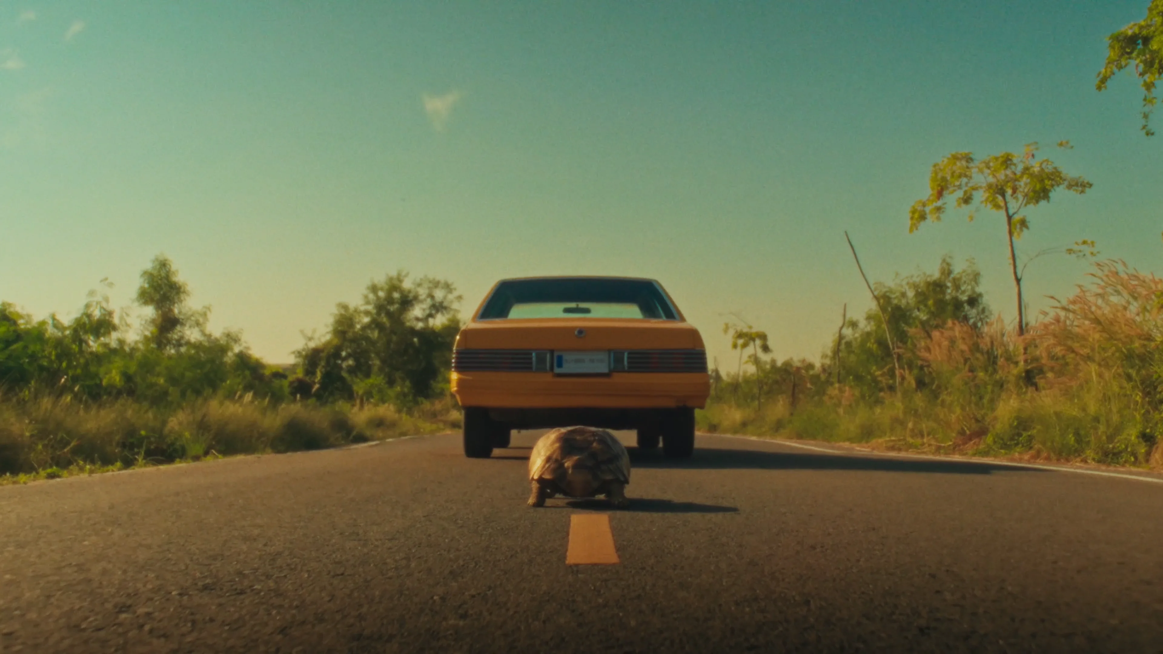 ล้มแชมป์ (Only You Can) - Tilly Birds x POLYCAT |Official MV|