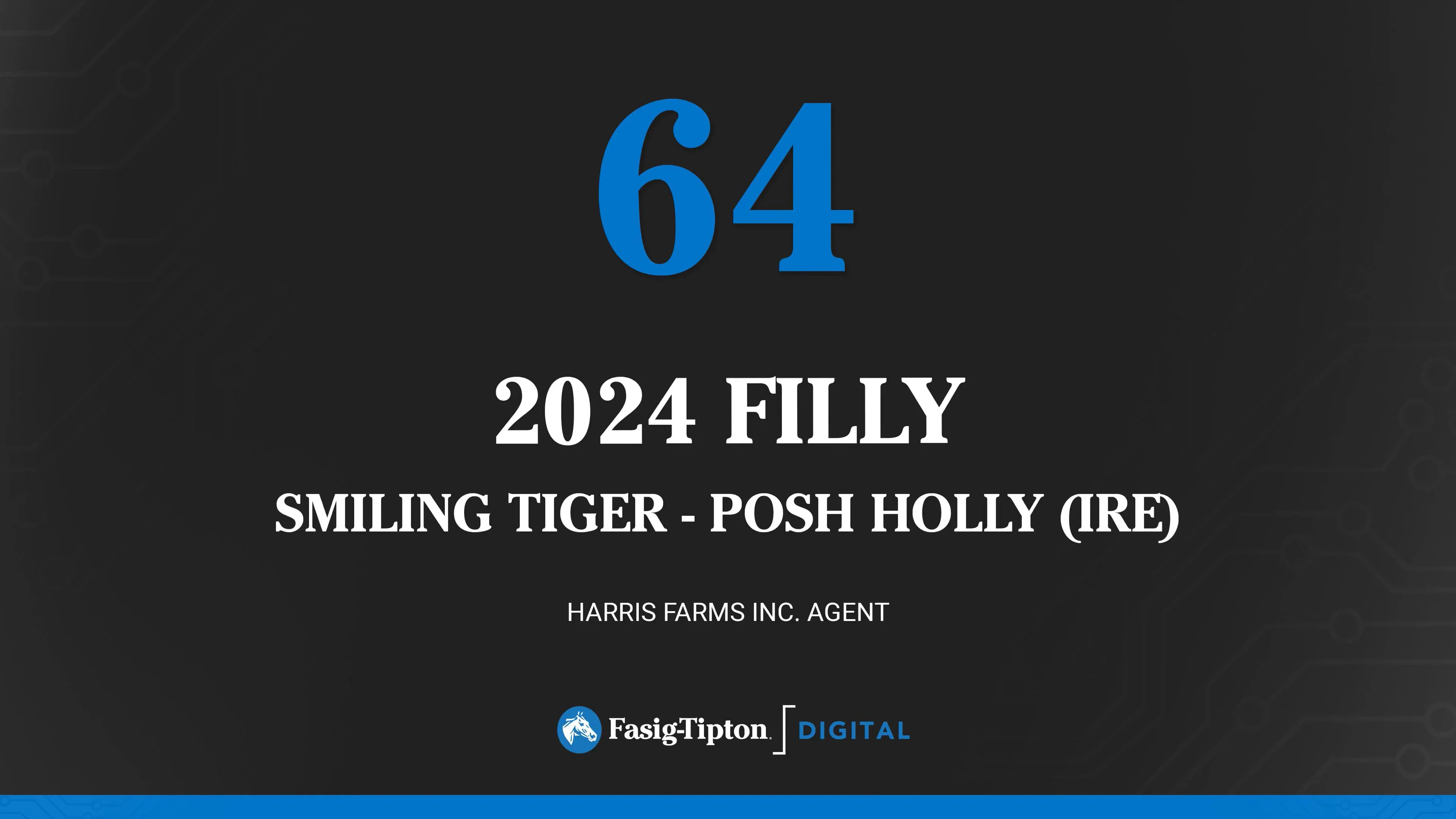 F-T January 2025 Digital Sale - Hip 64 '24 Smiling Tiger-Posh Holly