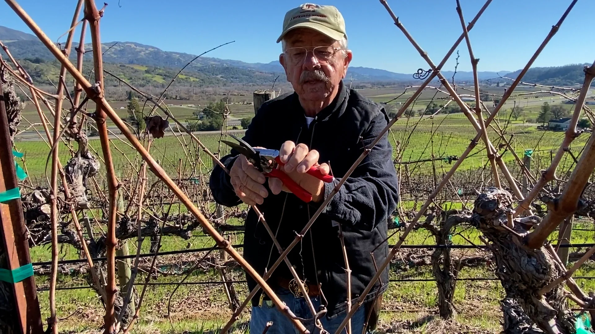 Jim's Journal - January 2025 Pruning at J. Rickards Winery