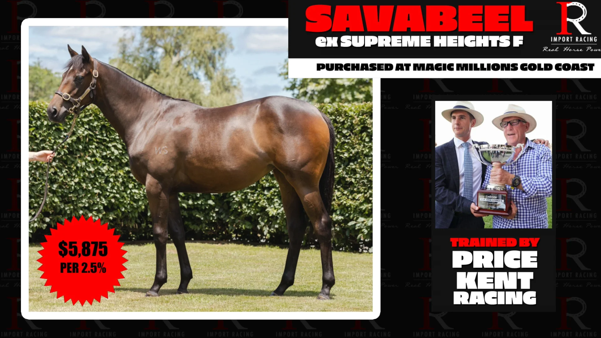 Savabeel x Supreme Heights Filly - Trained By Mick Price & Michael Kent Jr.