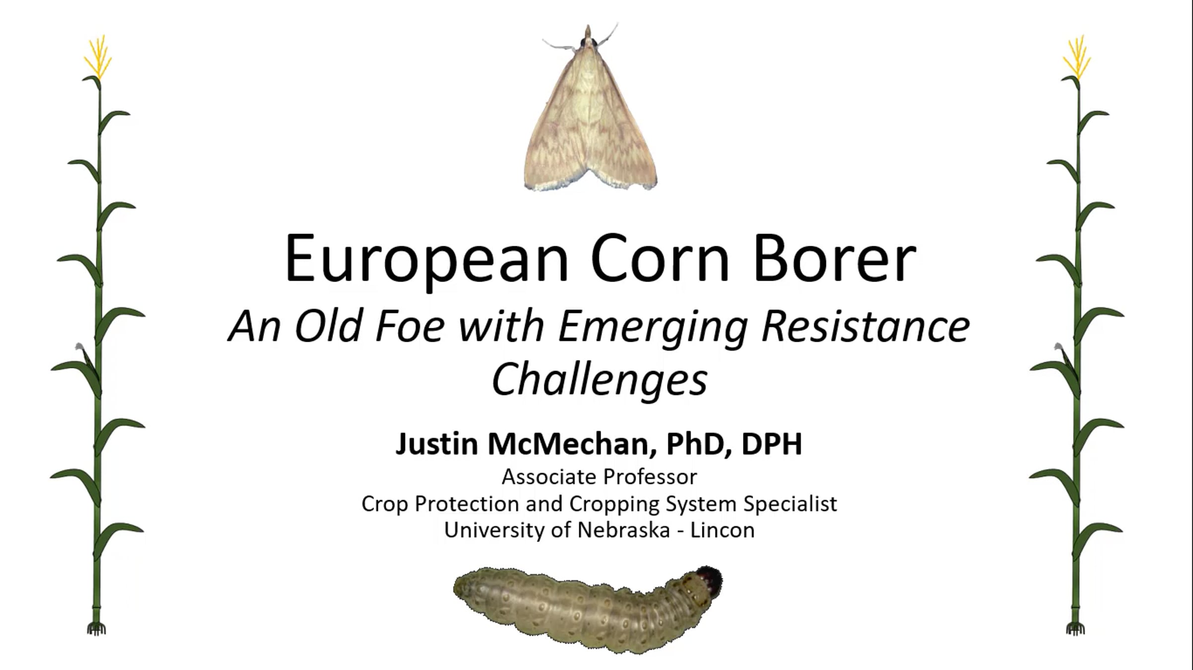 European Corn Borer An Old Foe with Emerging Resistance Challenges