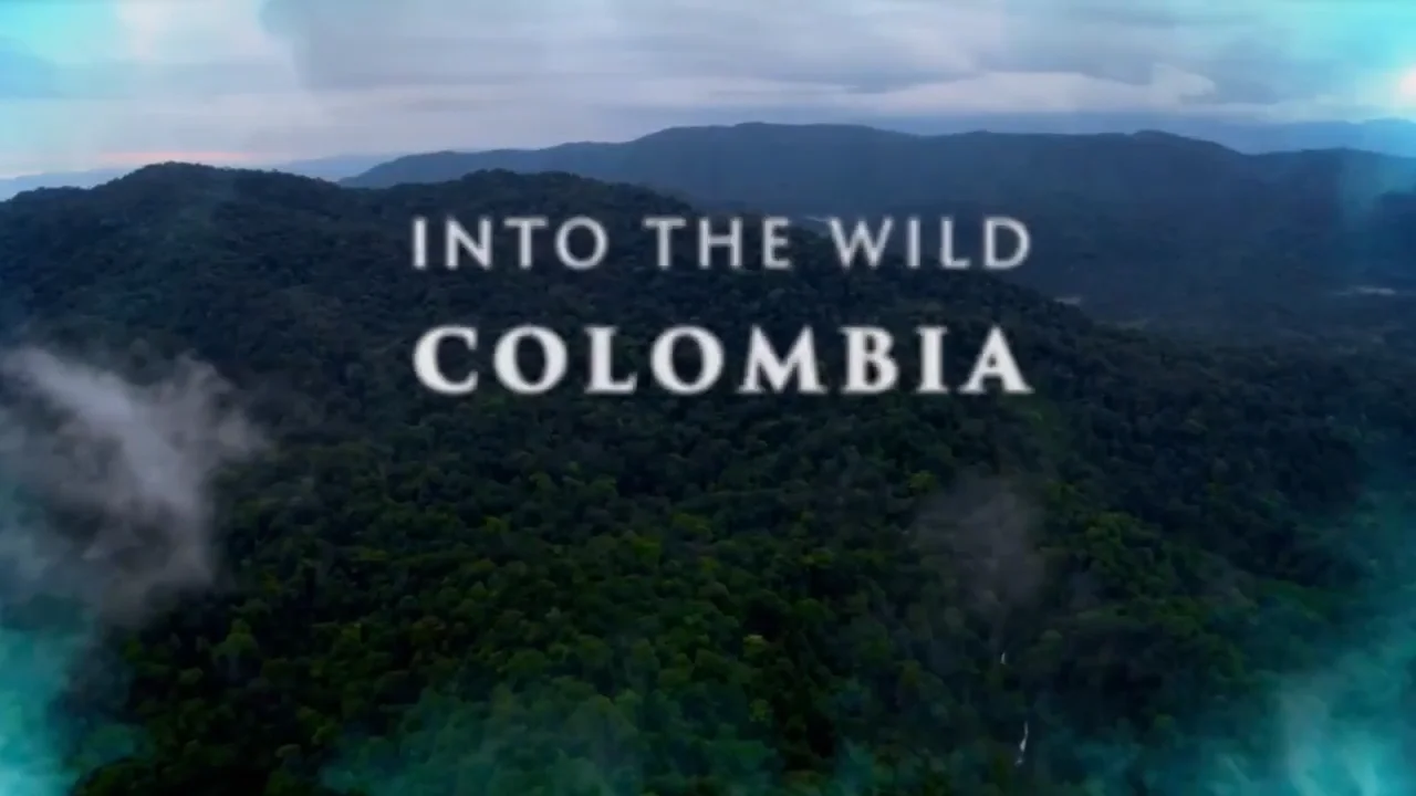 Into the Wild_Colombia