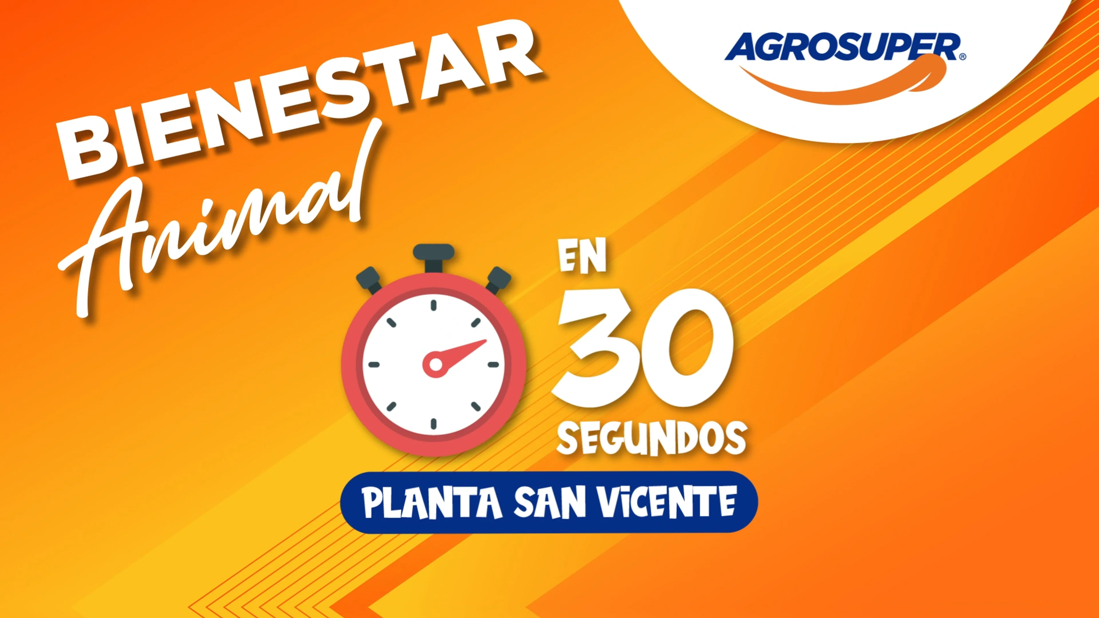 Bienestar animal 30 segundos