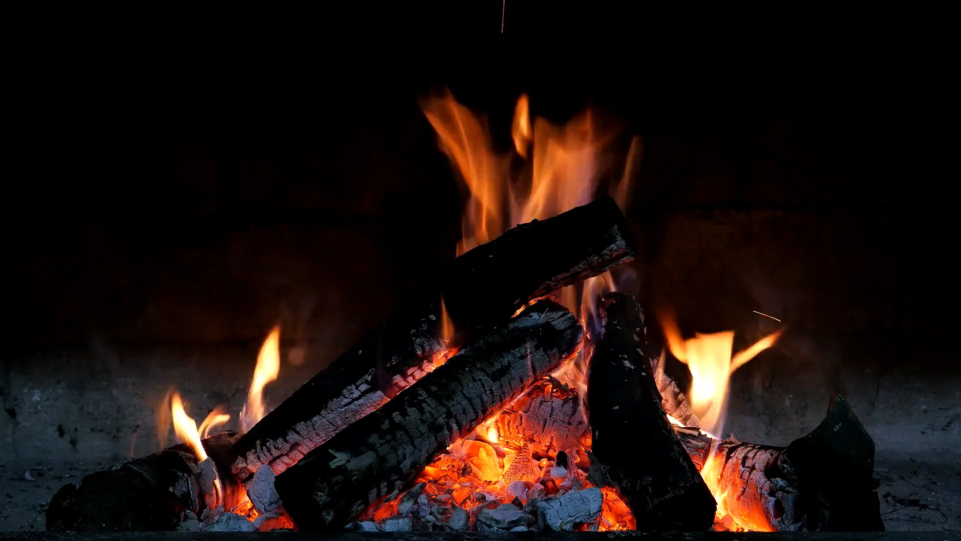 854692-hd_1920_1080_24fps