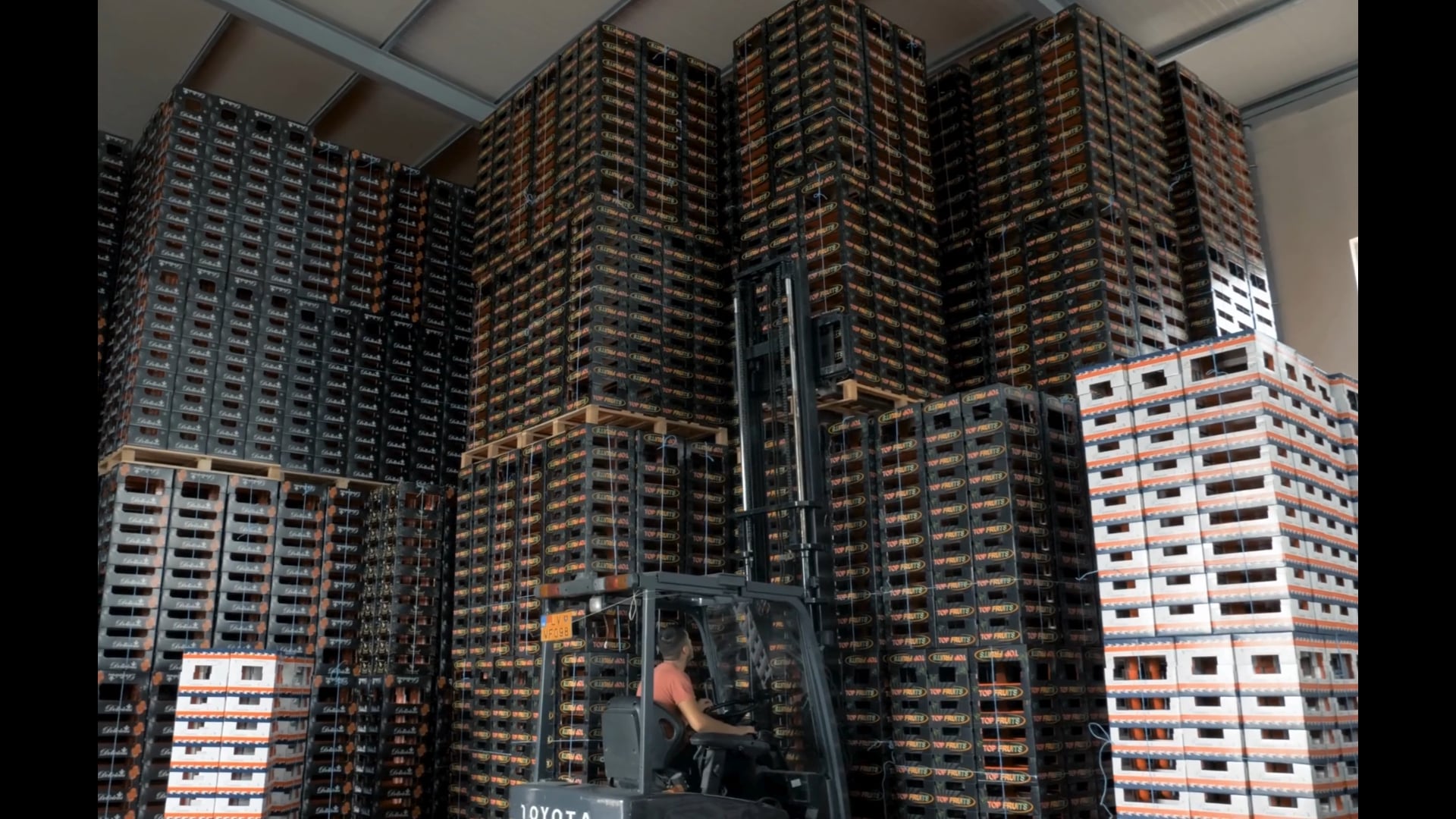 Pallets Supplier - 3 Groves LLC Quality New and Recycled Wood Pallets ...