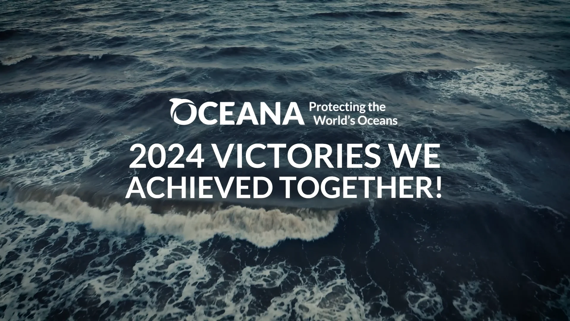 A 2024 Update from Oceana's CEO Jim Simon