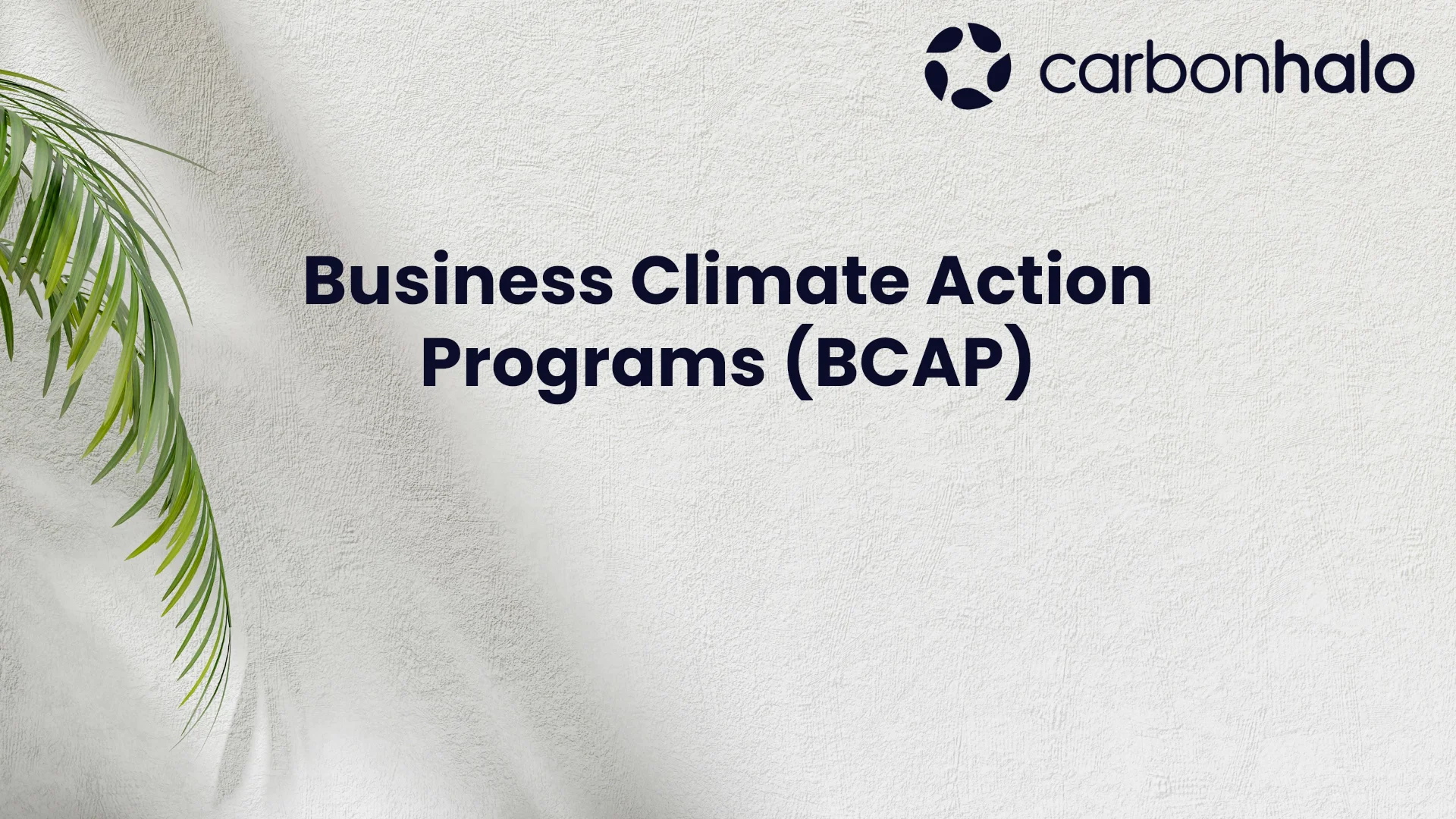 BCAP & BCAP+ overview