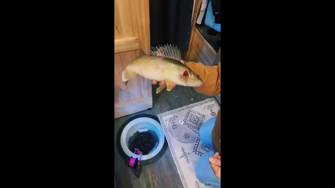 UnderCover-Guide.com - Home