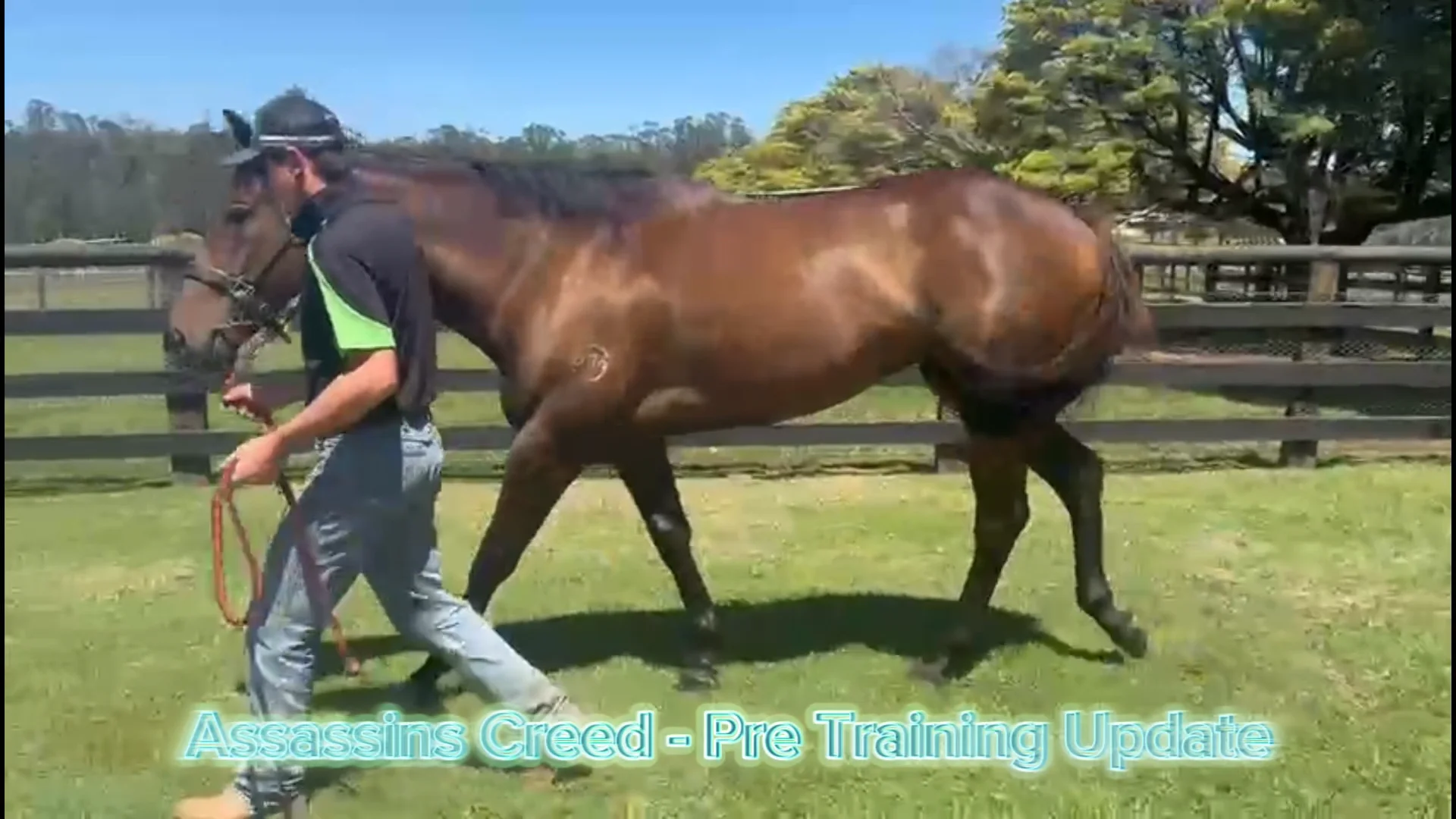 Assassins Creed - Pre Training Update