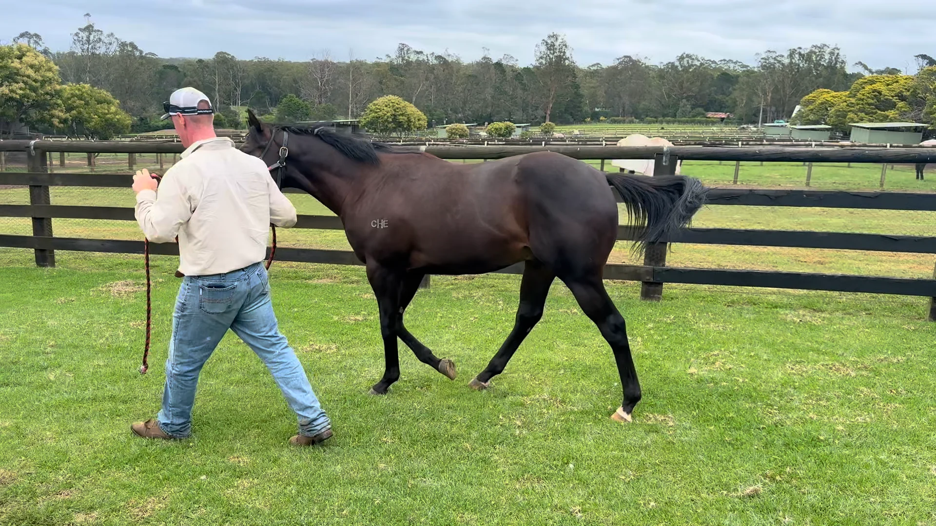 Proisir x Kay Cee Lass - IMPORTANT UPDATE