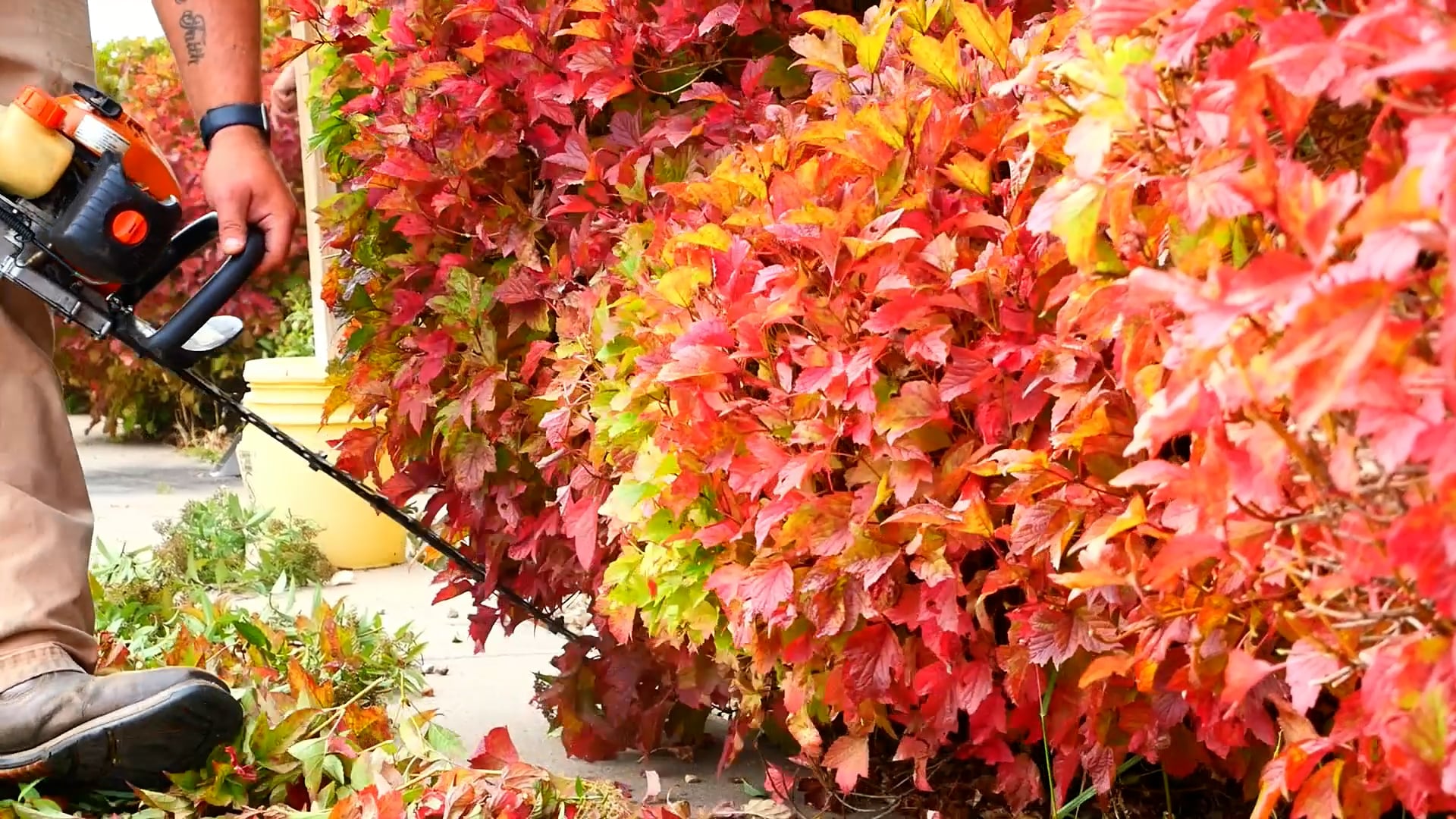 S&S Lawn Care Service, Snow - Landscaping LLC - Lawn Care and Snow ...