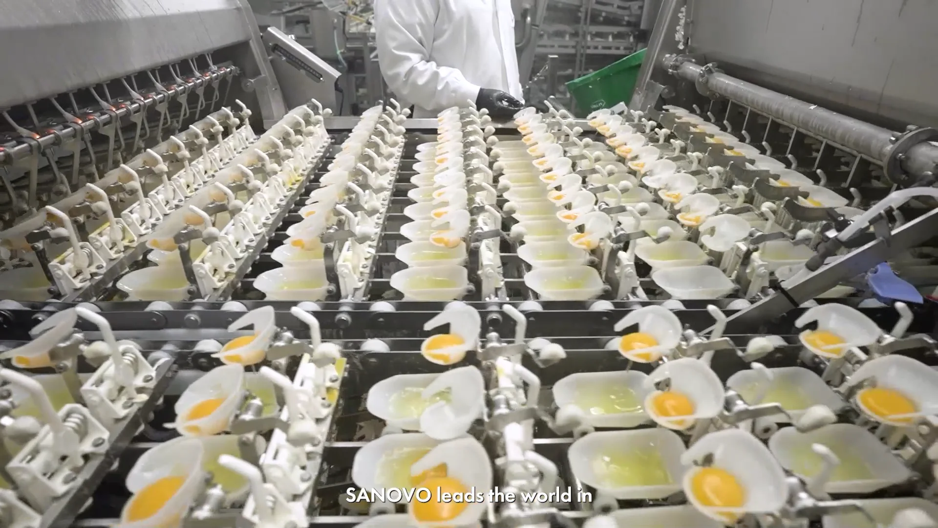 Egg Processing - SANOVO TECHNOLOGY GROUP