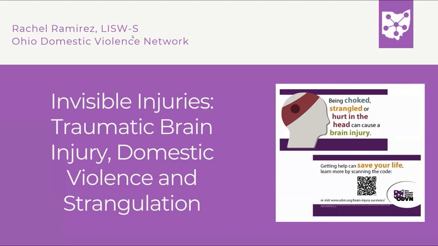 Watch An Introduction to Domestic Violence, Traumatic Brain Injury and ...