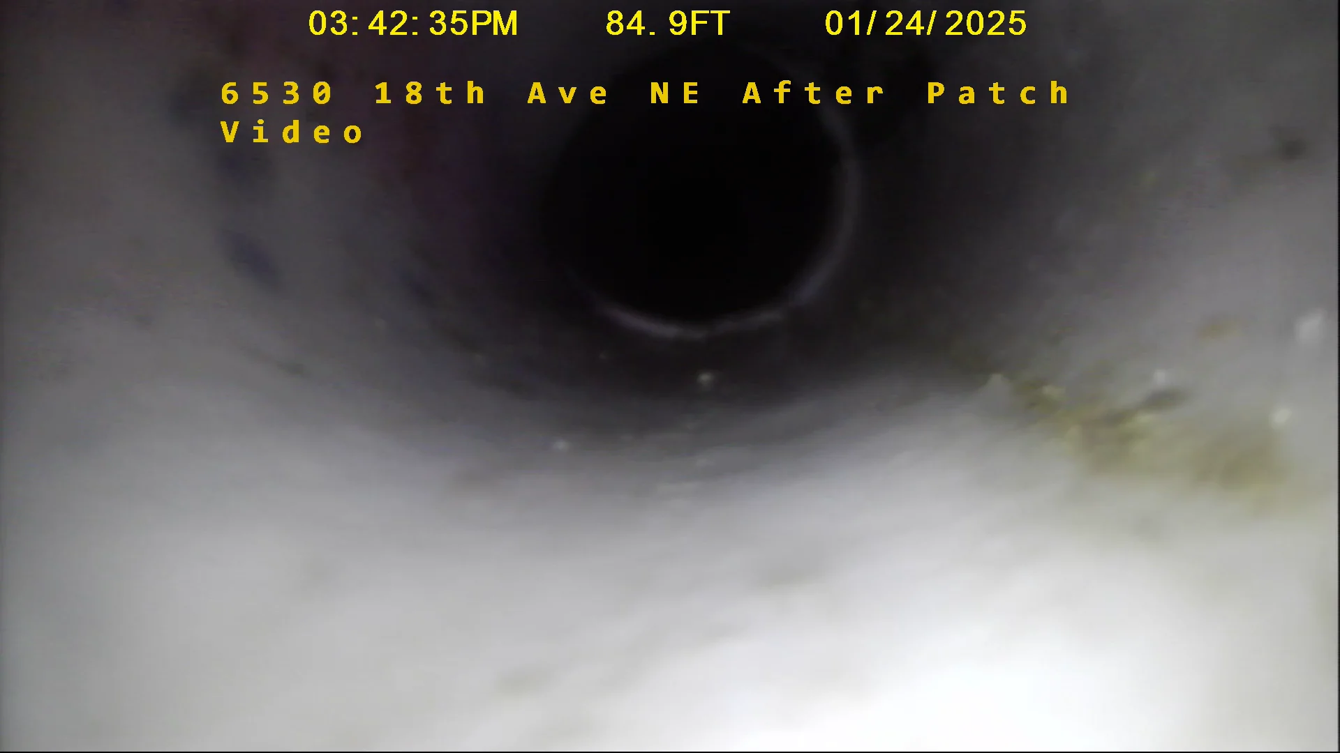 6530 18th Ave NE Seattle After Patch Video