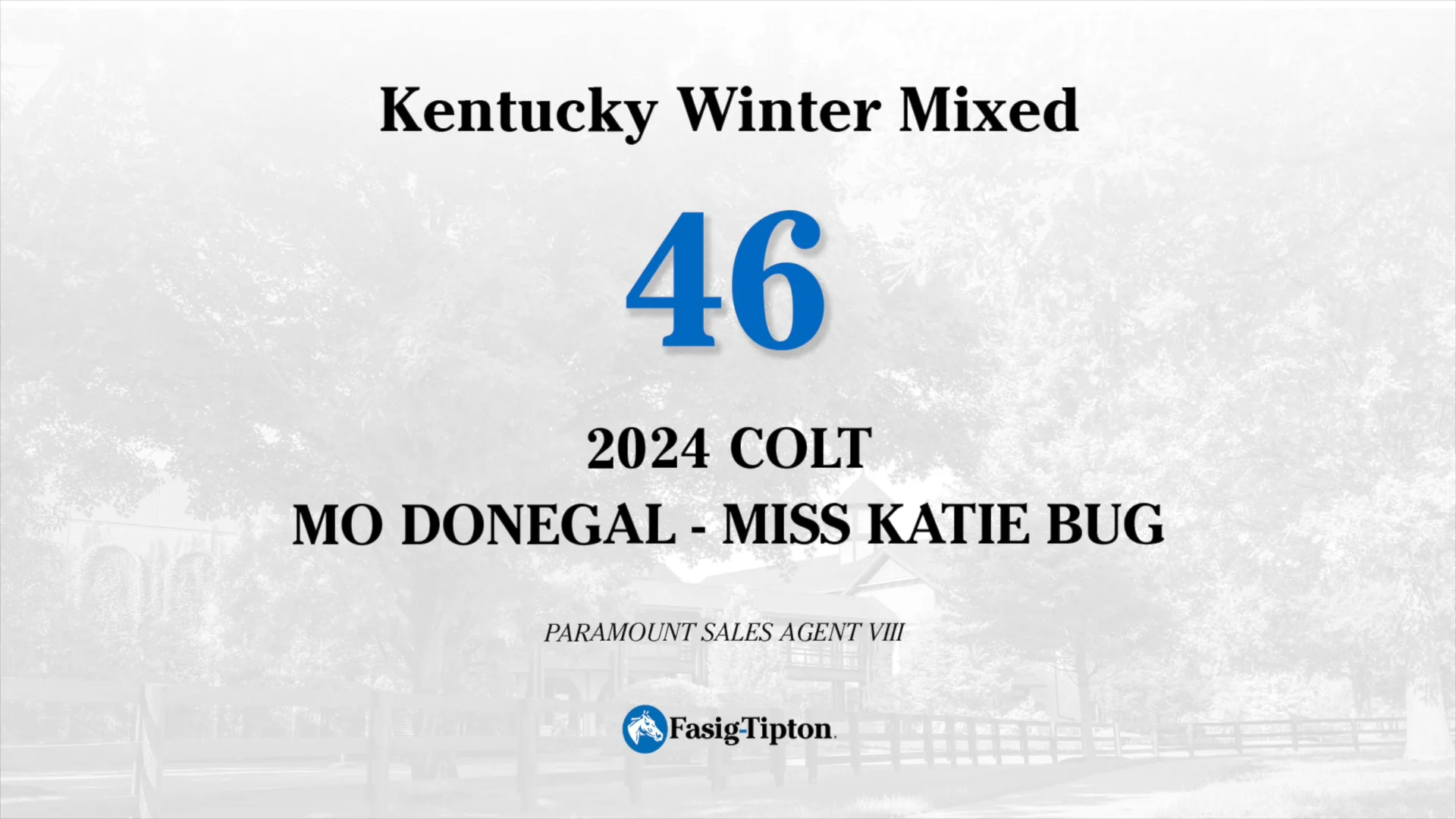 Hip 46 - FTKFEB25 - 2024 c. Mo Donegal - Miss Katie Bug