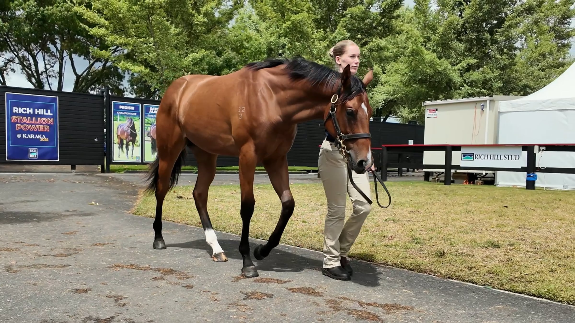 Lot 81 - Street Boss x Lorne F