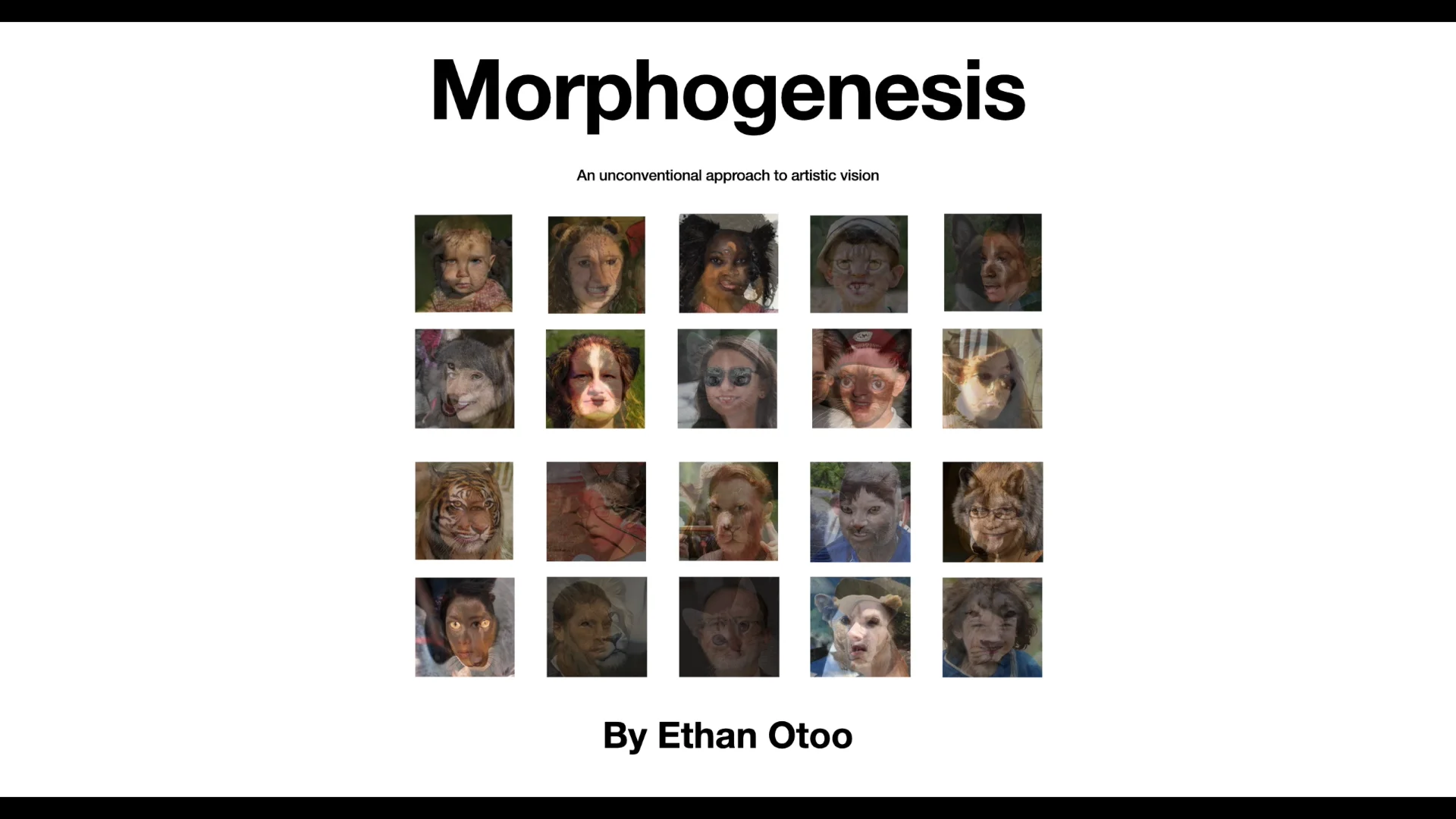 Morphogenesis Project Overview