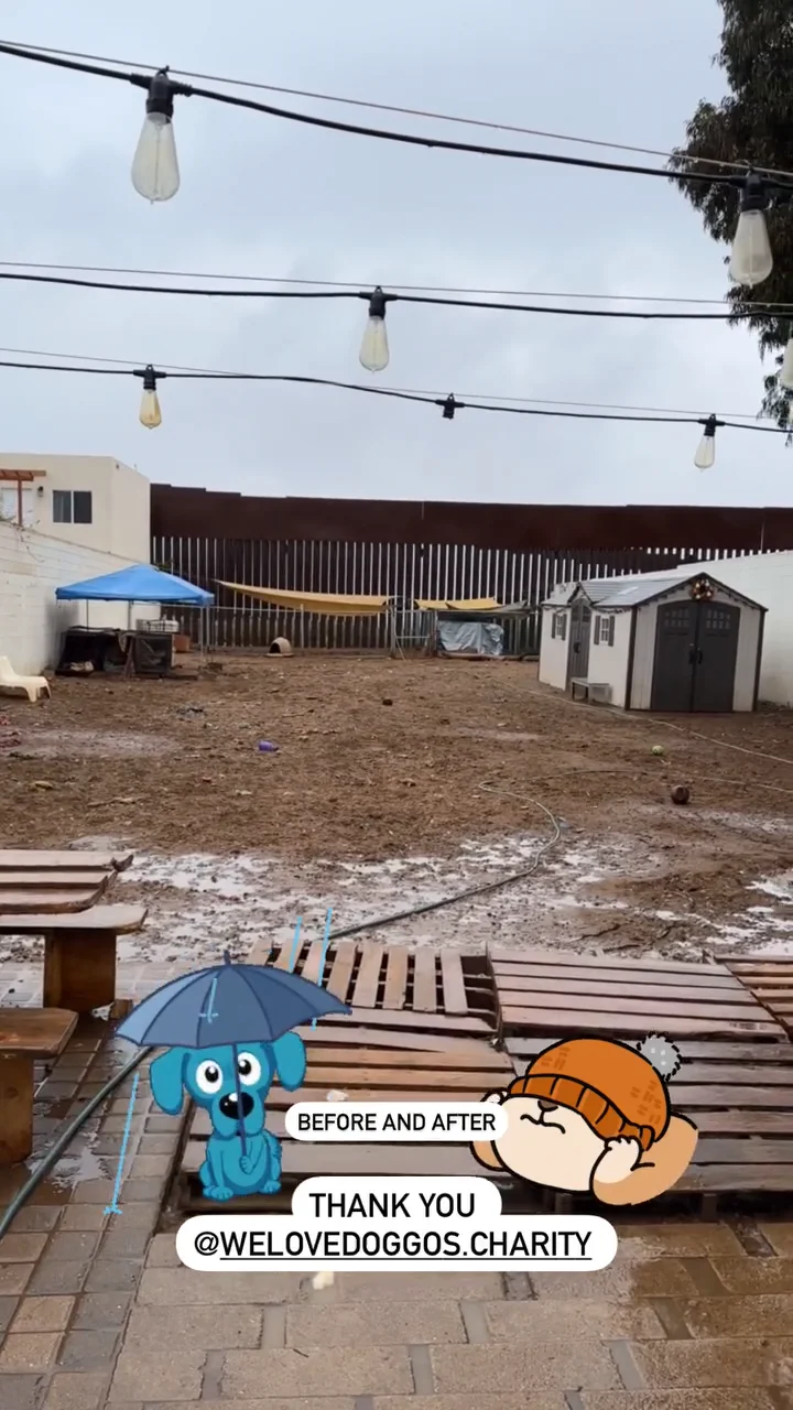 New Doghouse at La Dulce Vida Dog Rescue