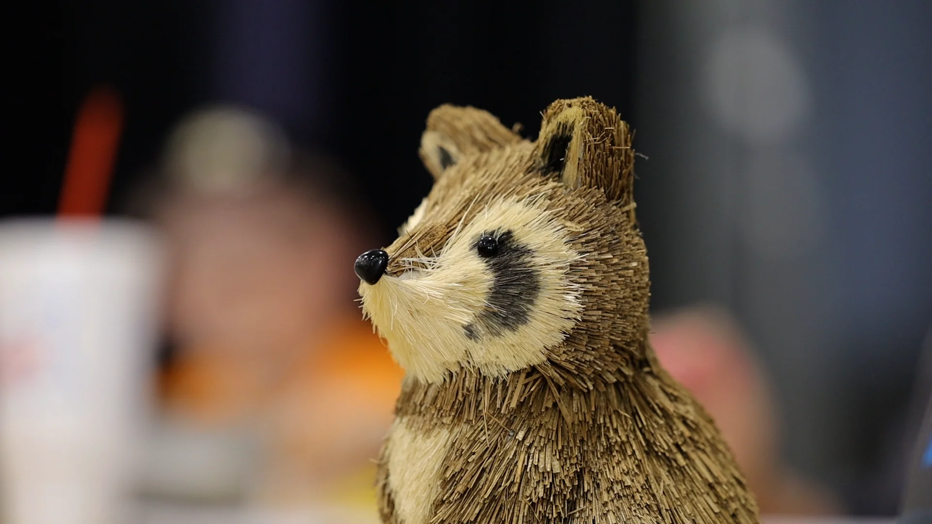 The World's Largest Raccoon Hunt