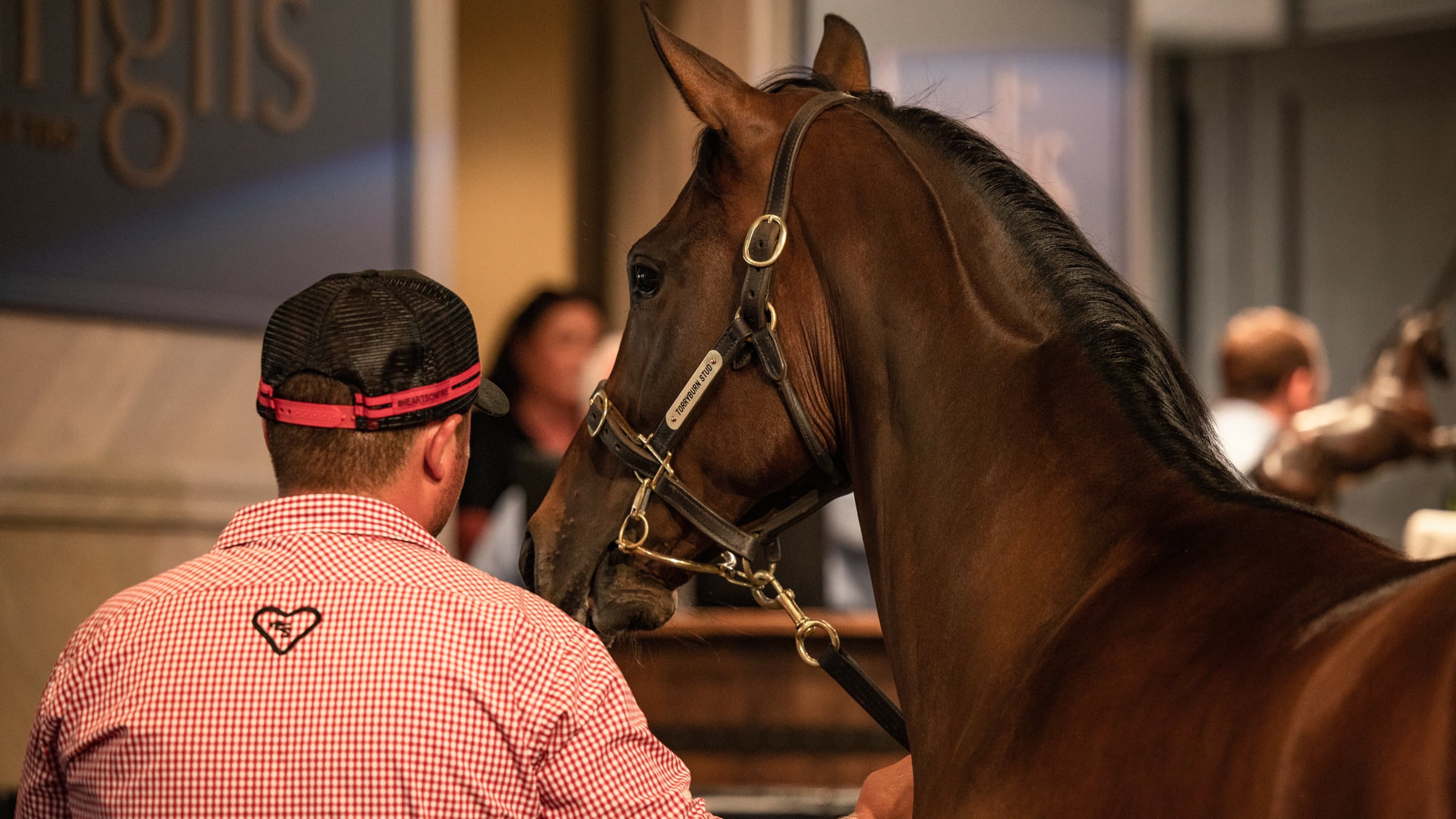 Torryburn Stud - 2025 Inglis Classic Yearling Sale