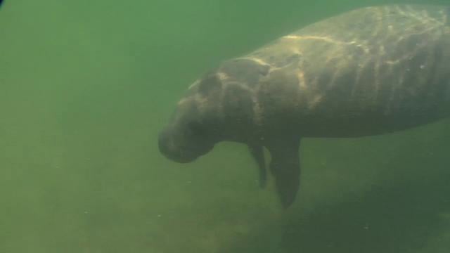 Litton's Weekend Adventure on Vimeo