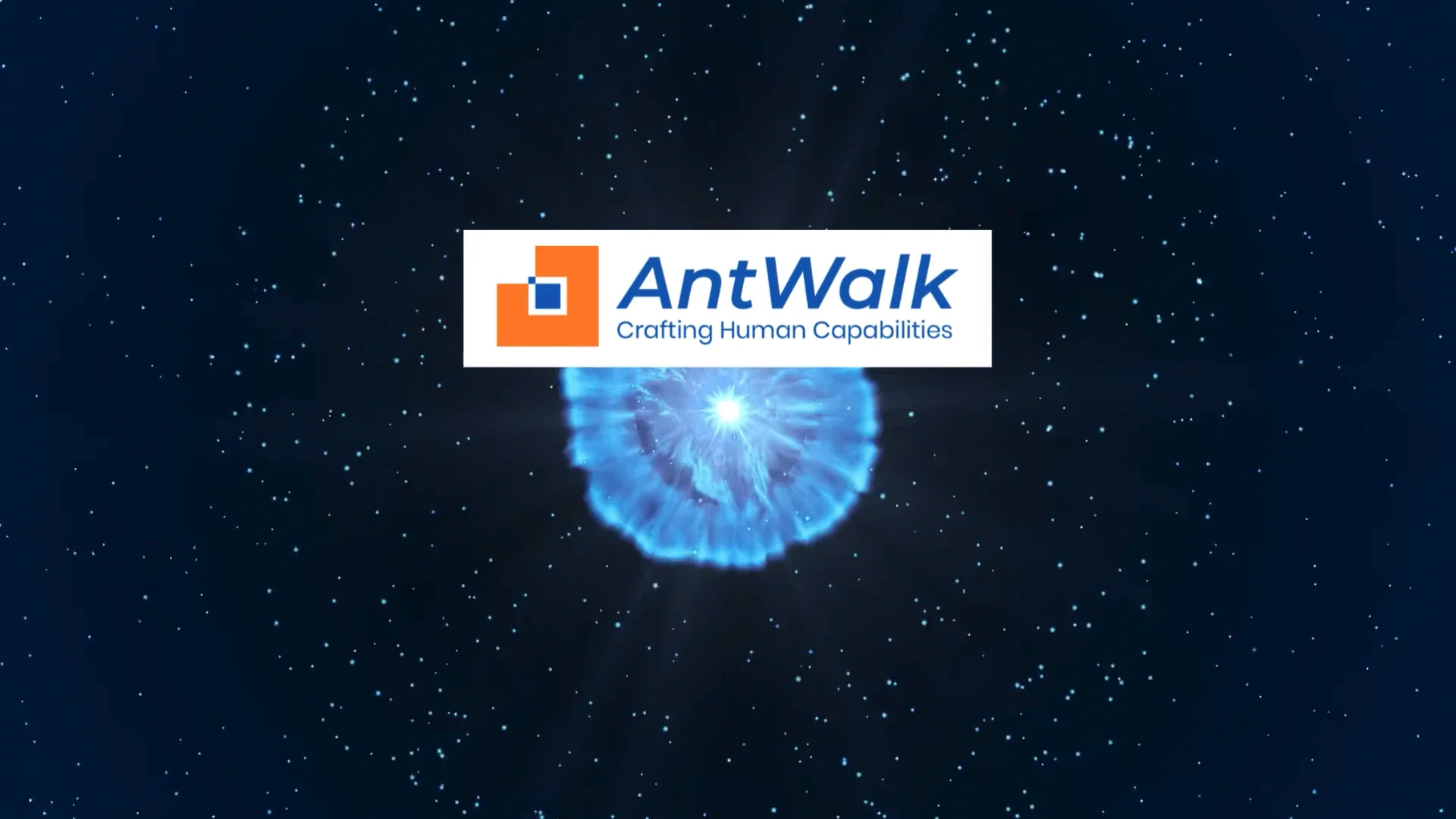 Guide to Distributor Performance