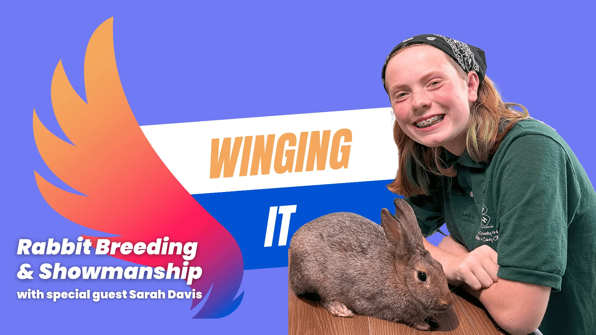 Winging It Podcast: Rabbit Breeding & Showmanship with Sarah Davis
