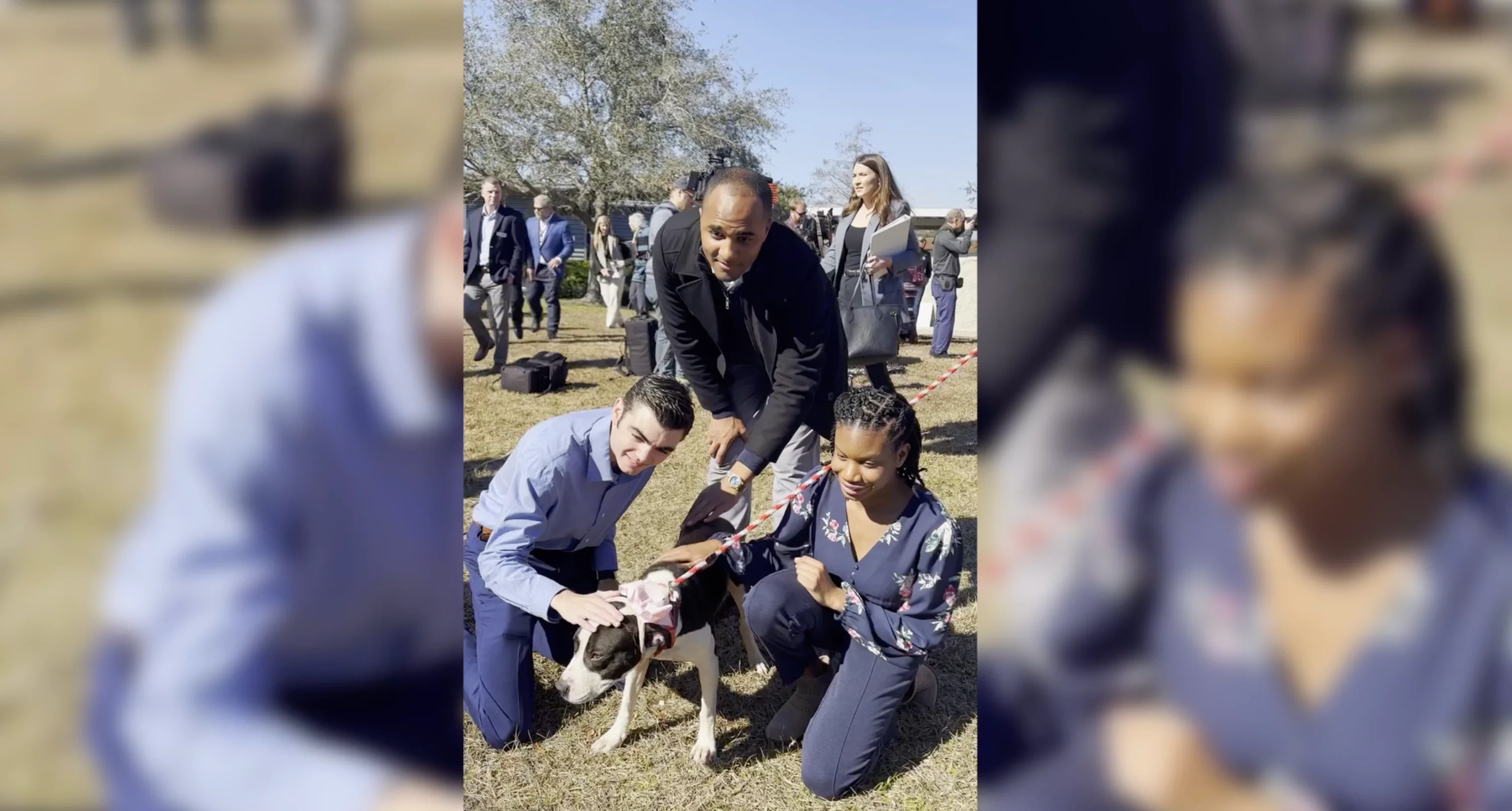 PAWS Program Announcement