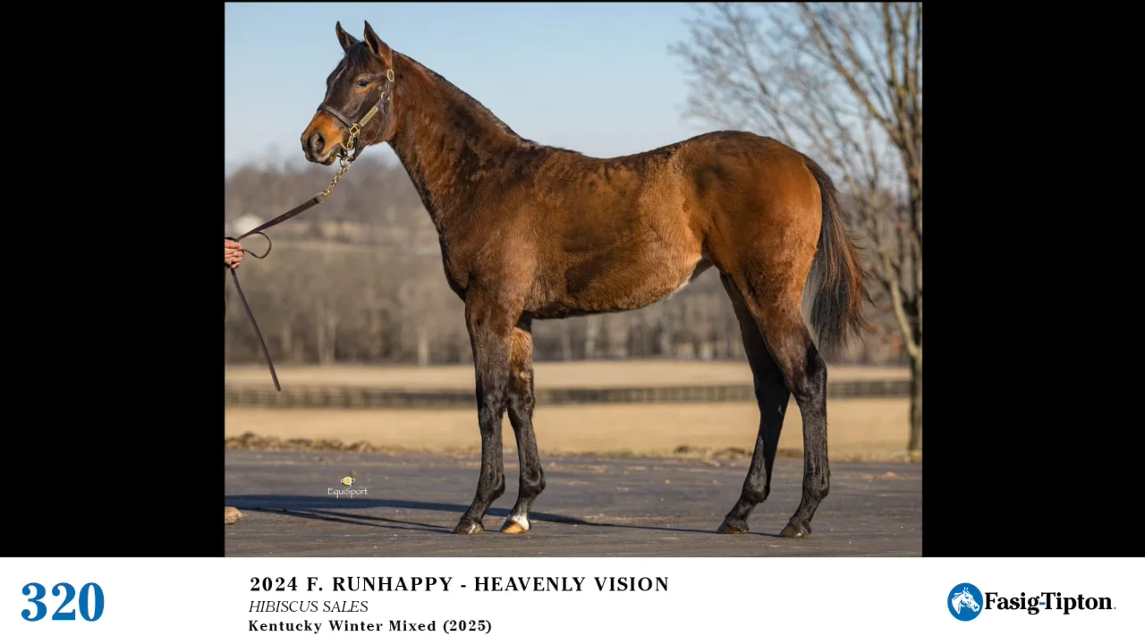 Hip 320 FT Feb Runhappy - Heavenly Vision '24