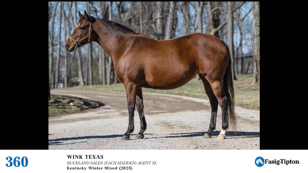Hip 360 FT Feb Wink Texas