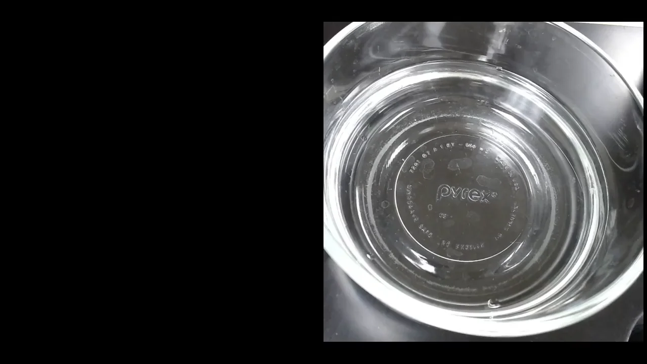 fish_insulin_splitscreen--2024-09-03