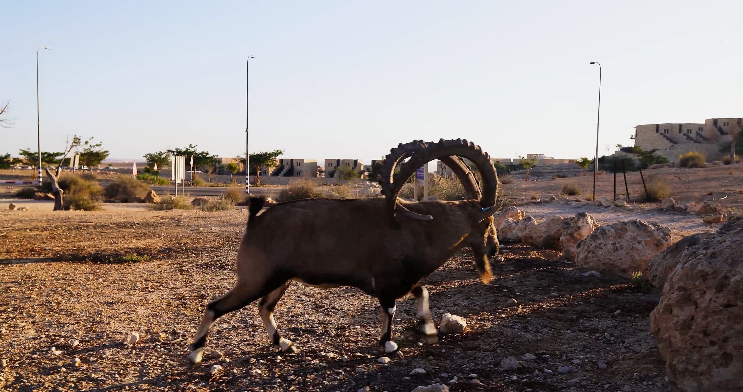 SOR 3.2 - Abraham, Faith, and God's Promises - Without Titles